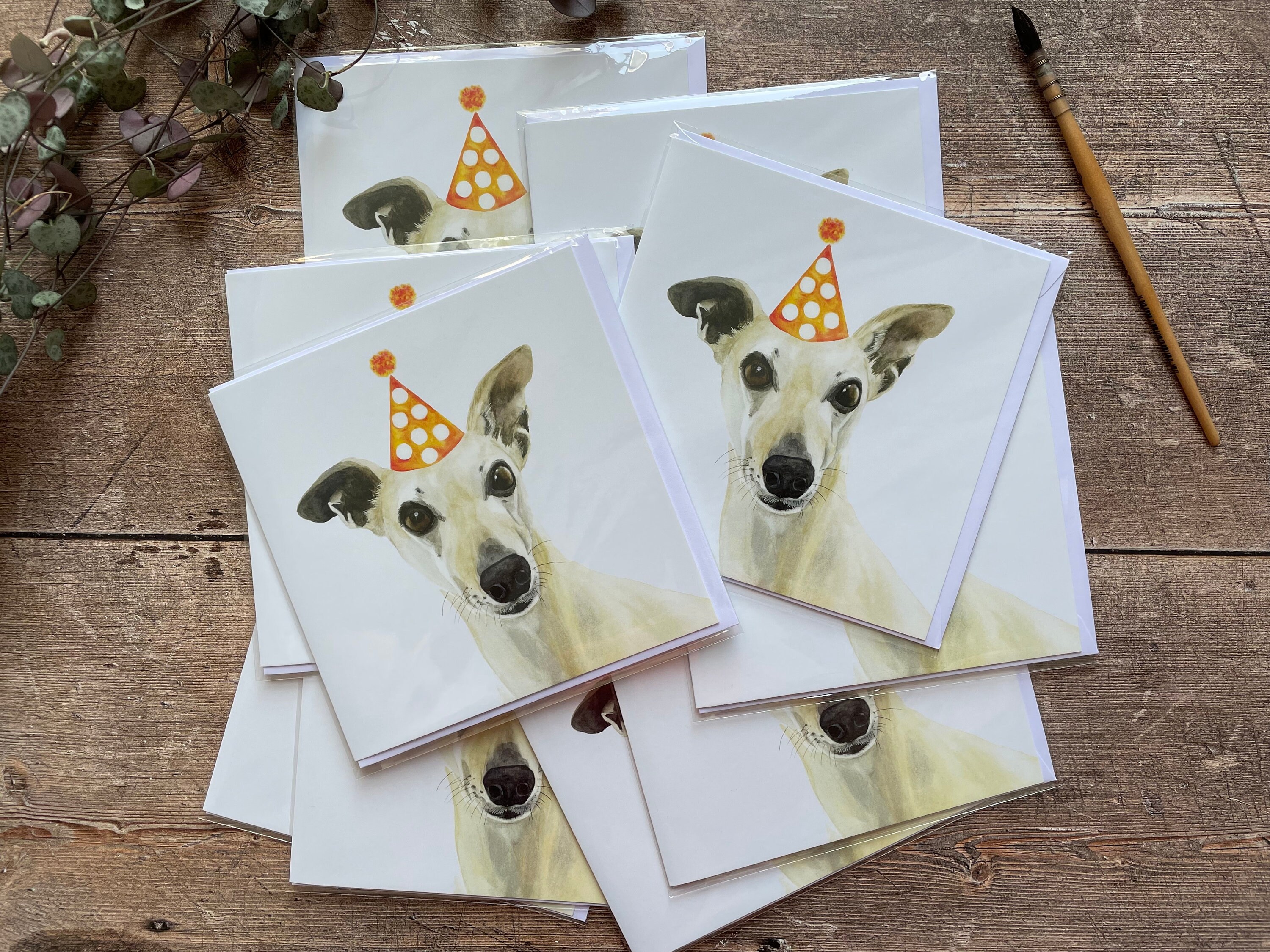 Whippet Birthday Card - Etsy