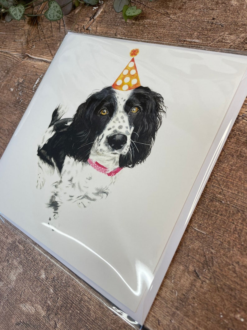 Springer Spaniel Birthday Card Black & White Springer - Etsy