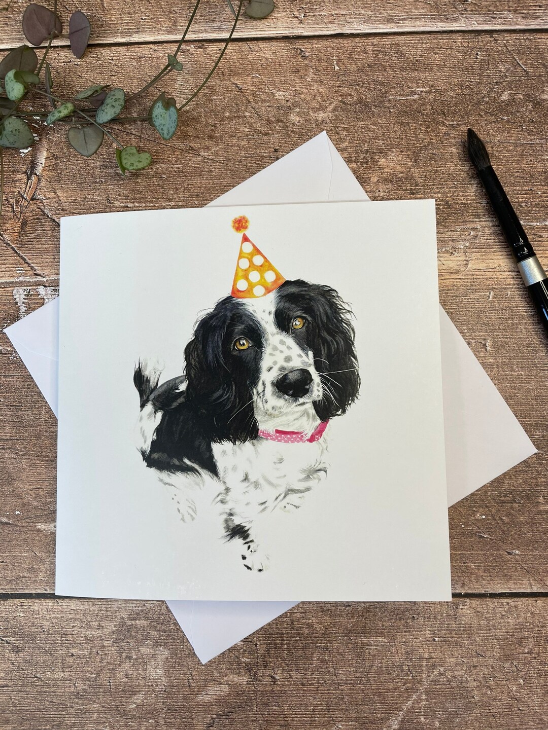 Springer Spaniel Birthday Card | Black & White Springer Spaniel - Etsy