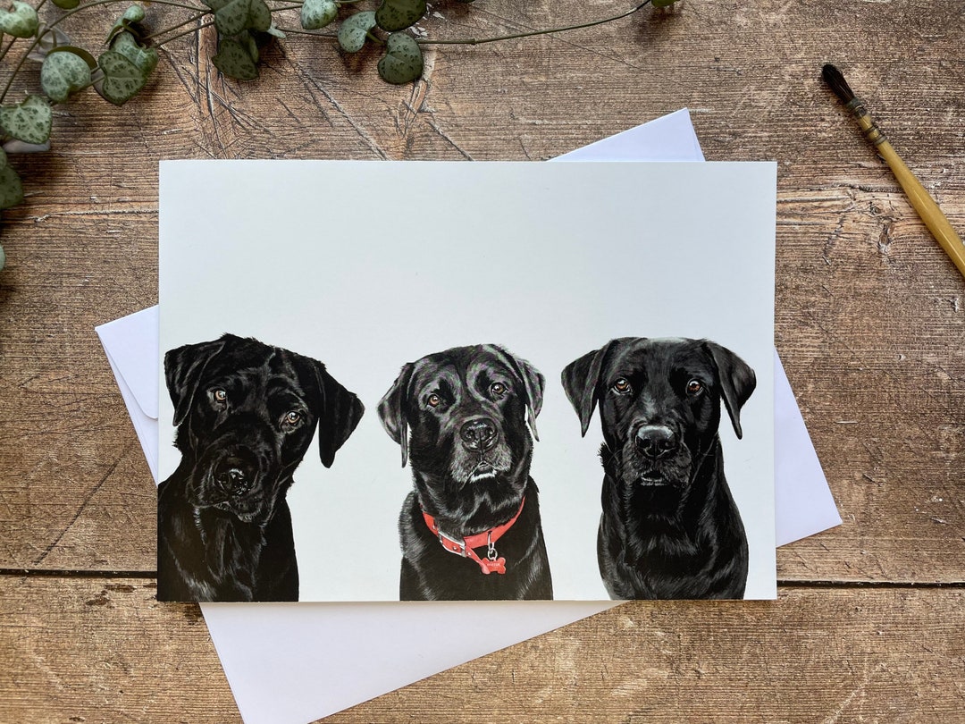 Black Labrador Card | Any Occasion Card - Etsy