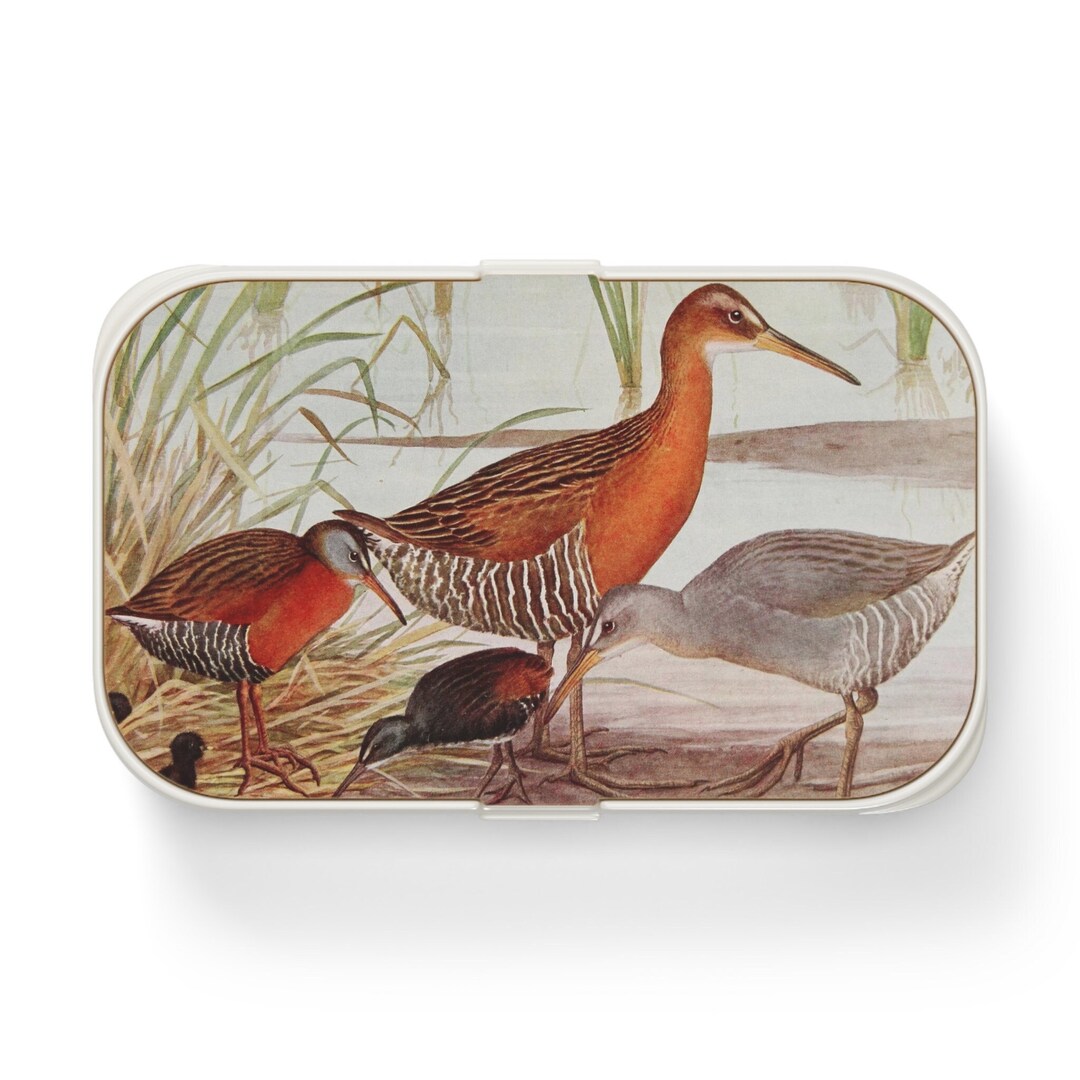 Birds Bento Box, Vintage Audubon Shore Bird Art Asian Lunch Box for ...