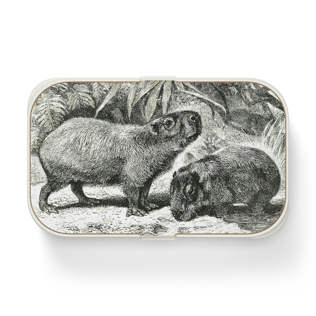 Bento Box for Adults, Capybara Asian Lunch Box, Black and White ...