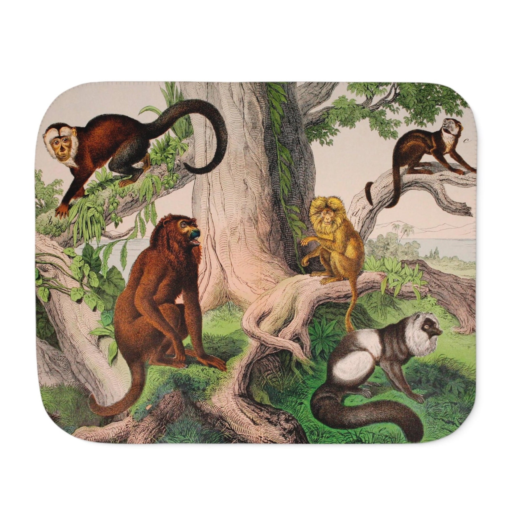 Monkeys Sherpa Throw Blanket in 3 Sizes Vintage Monkey Couch - Etsy