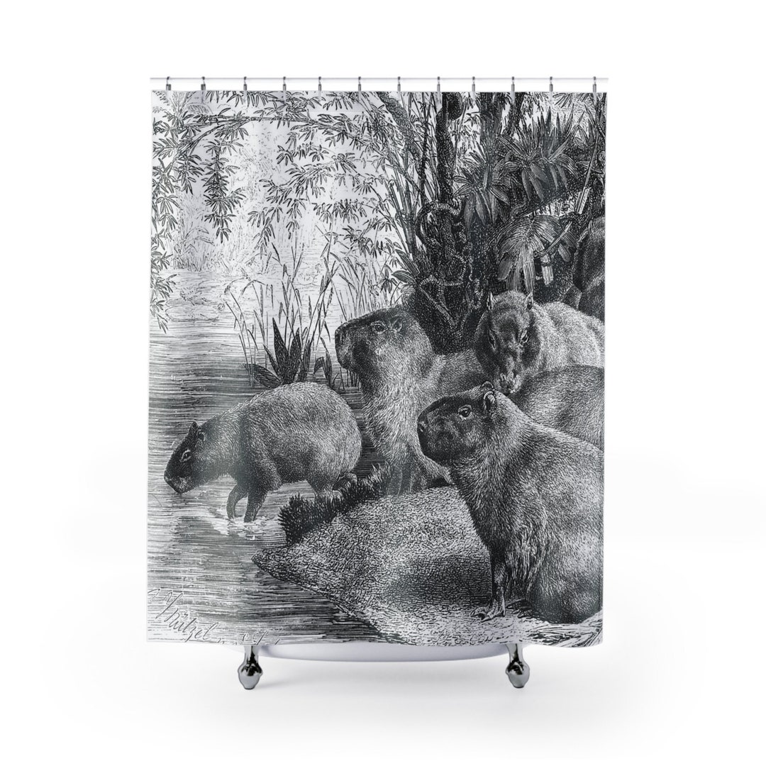 Capybara Shower Curtain, Giant Cavy Rodent Bathroom Decor, Vintage ...