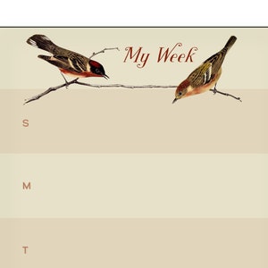 Birds Magnetic Weekly Planner Notepad, My Week Audubon Bird Fridge ...