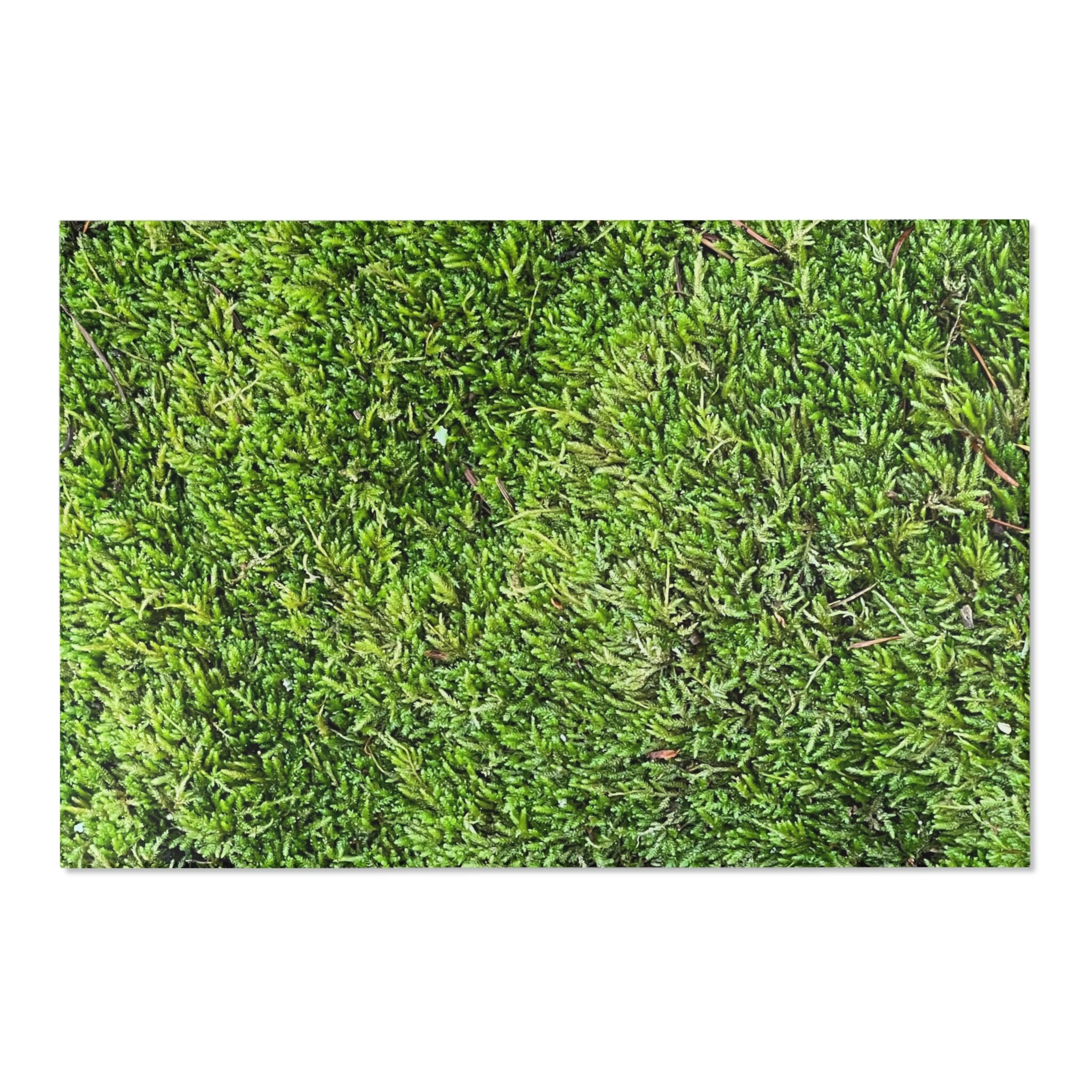 Moss Green Area Rug, Moss Rug, Rectangle Rug, Cool Rugs, Emerald Green ...