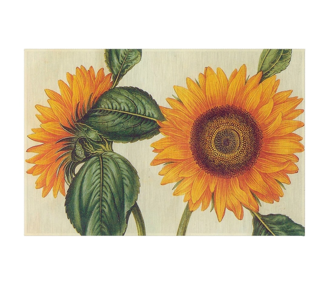 Sunflower Door Mat, Floral Entry Welcome Mat, Boho Botanical Flower ...