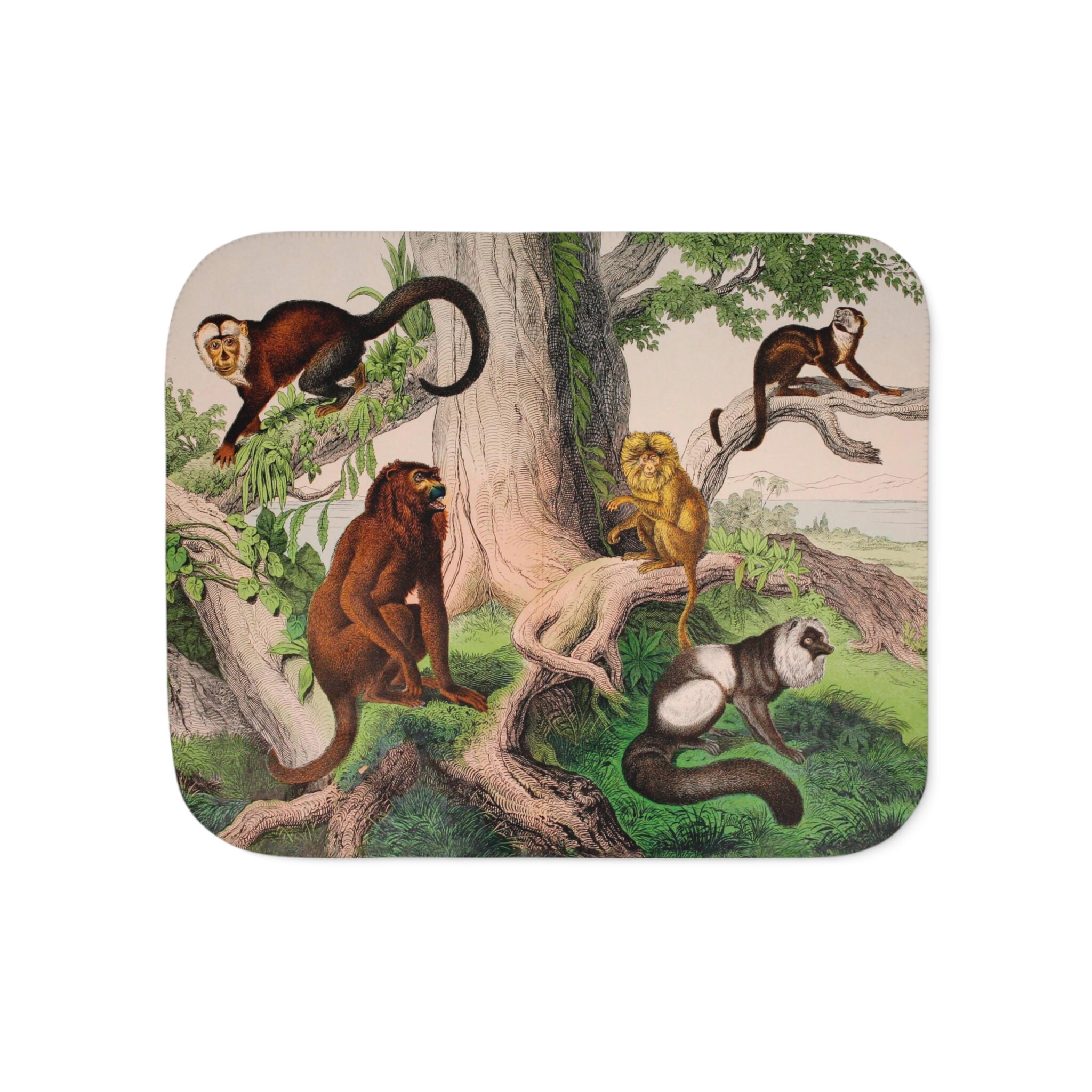 Monkey Safari Blanket Sherpa Throw Blanket in 3 Sizes - Etsy