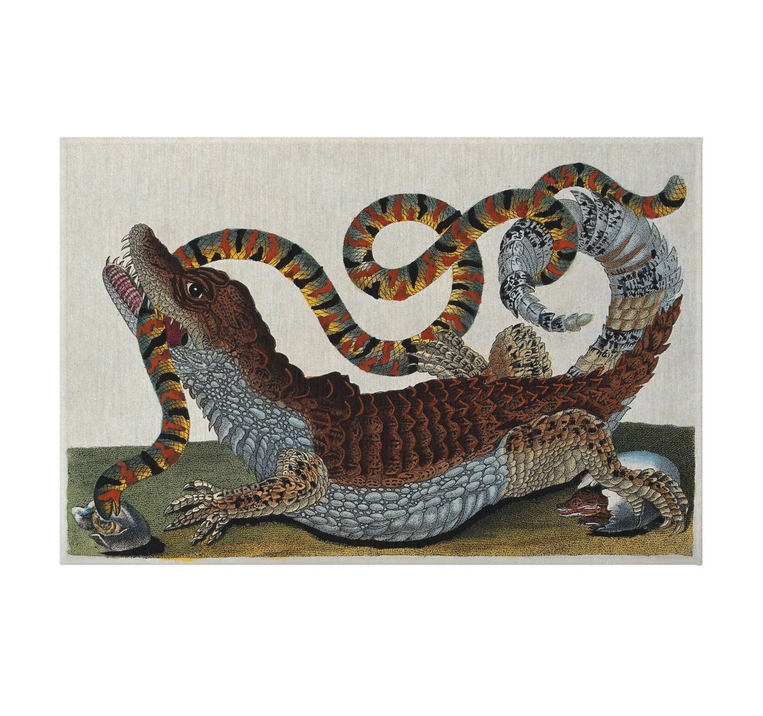 Alligator and Snake Door Mat, Cayman and Viper Welcome, Snake Indoor ...