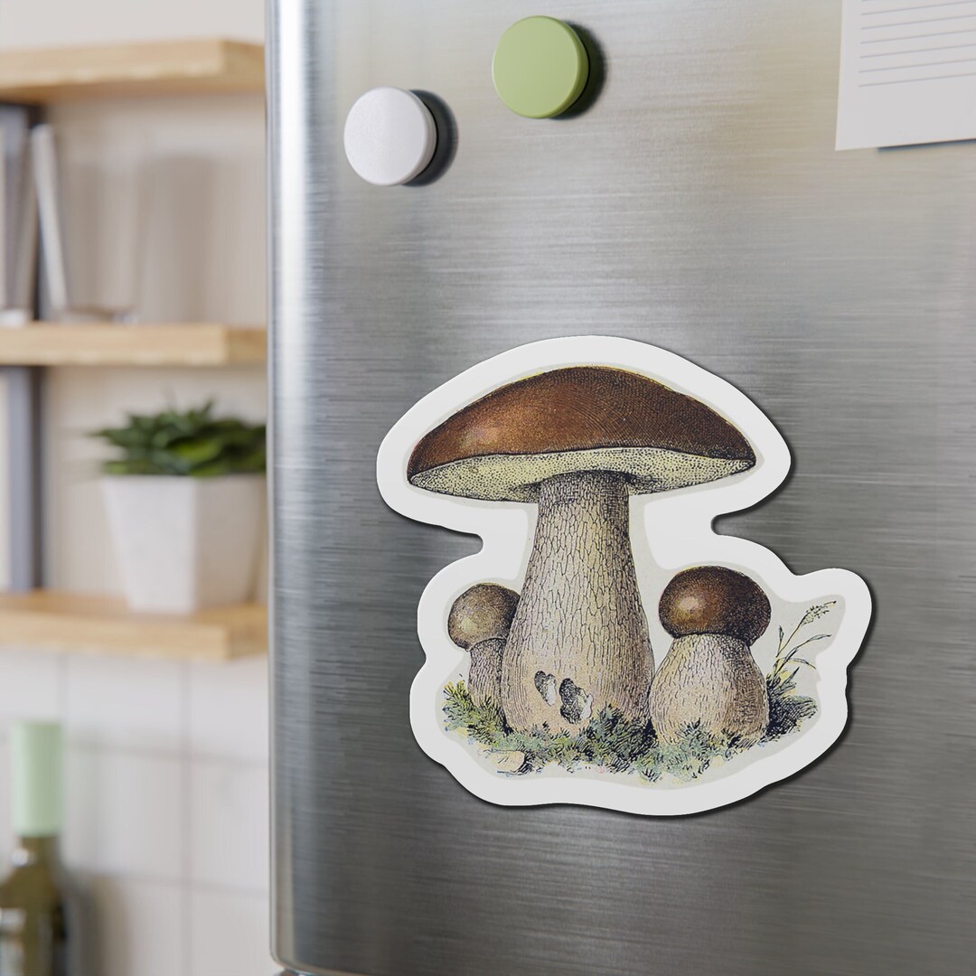 Mushroom Fridge Magnet, Aesthetic Cottagecore Boho Nature Plant ...