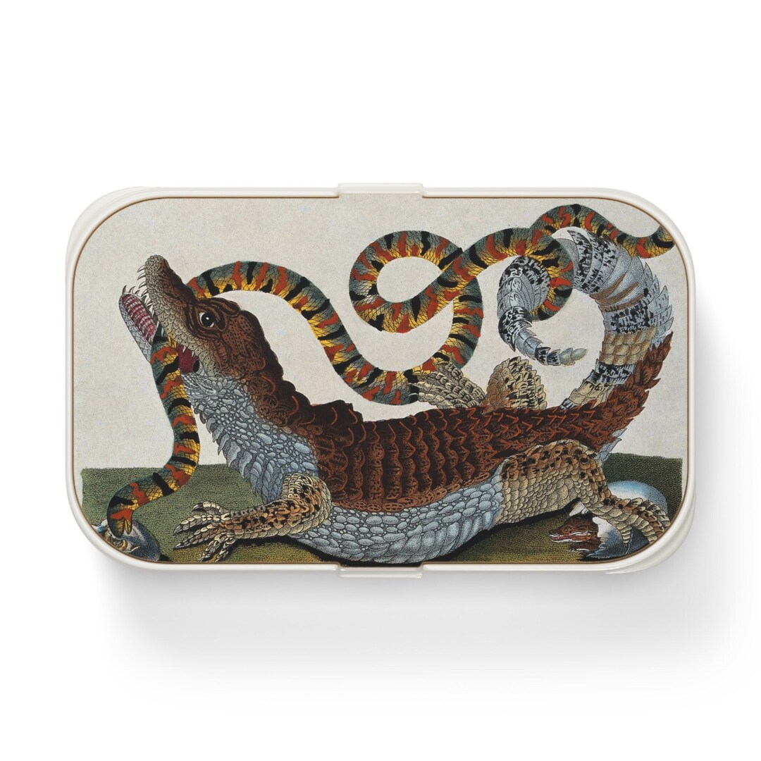 Alligator and Snake Bento Lunch Box, Cayman and Viper, Serpent Asian ...