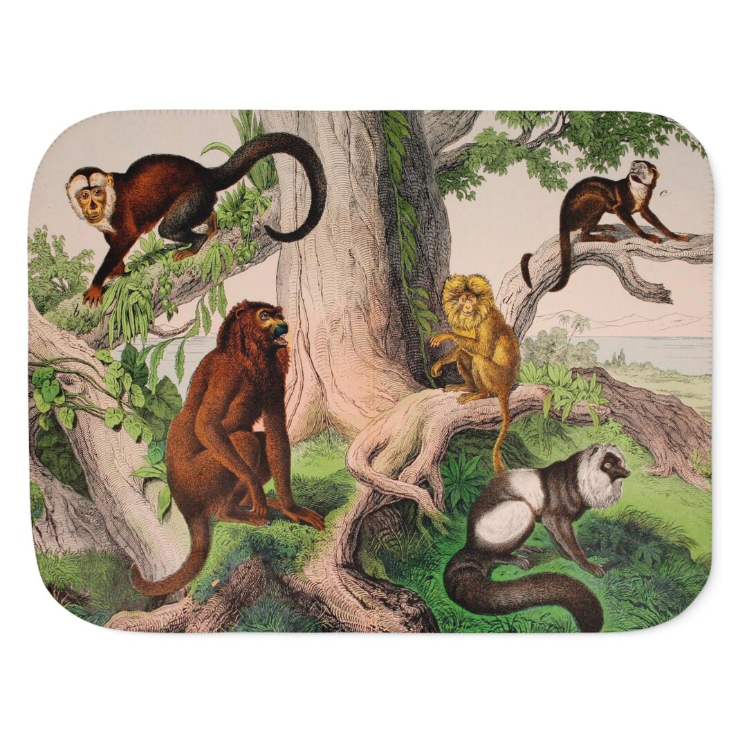 Monkeys Sherpa Throw Blanket in 3 Sizes Vintage Monkey Couch - Etsy