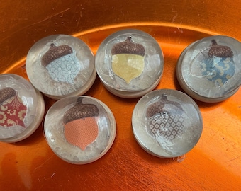 Acorn Magnets - Etsy