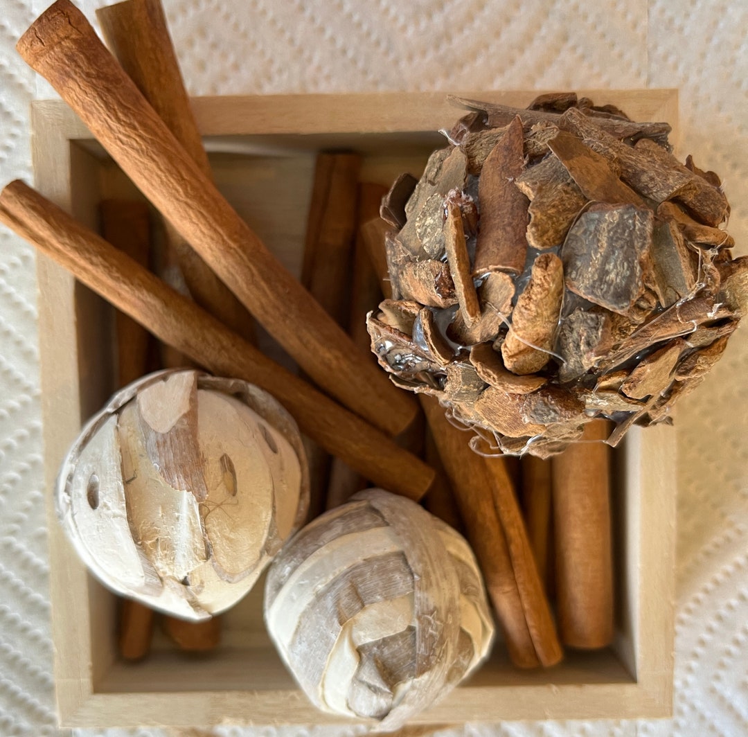 POTPOURRI BOWL FILLER Cassa Vera Balls and Scented Cinnamon Sticks - Etsy