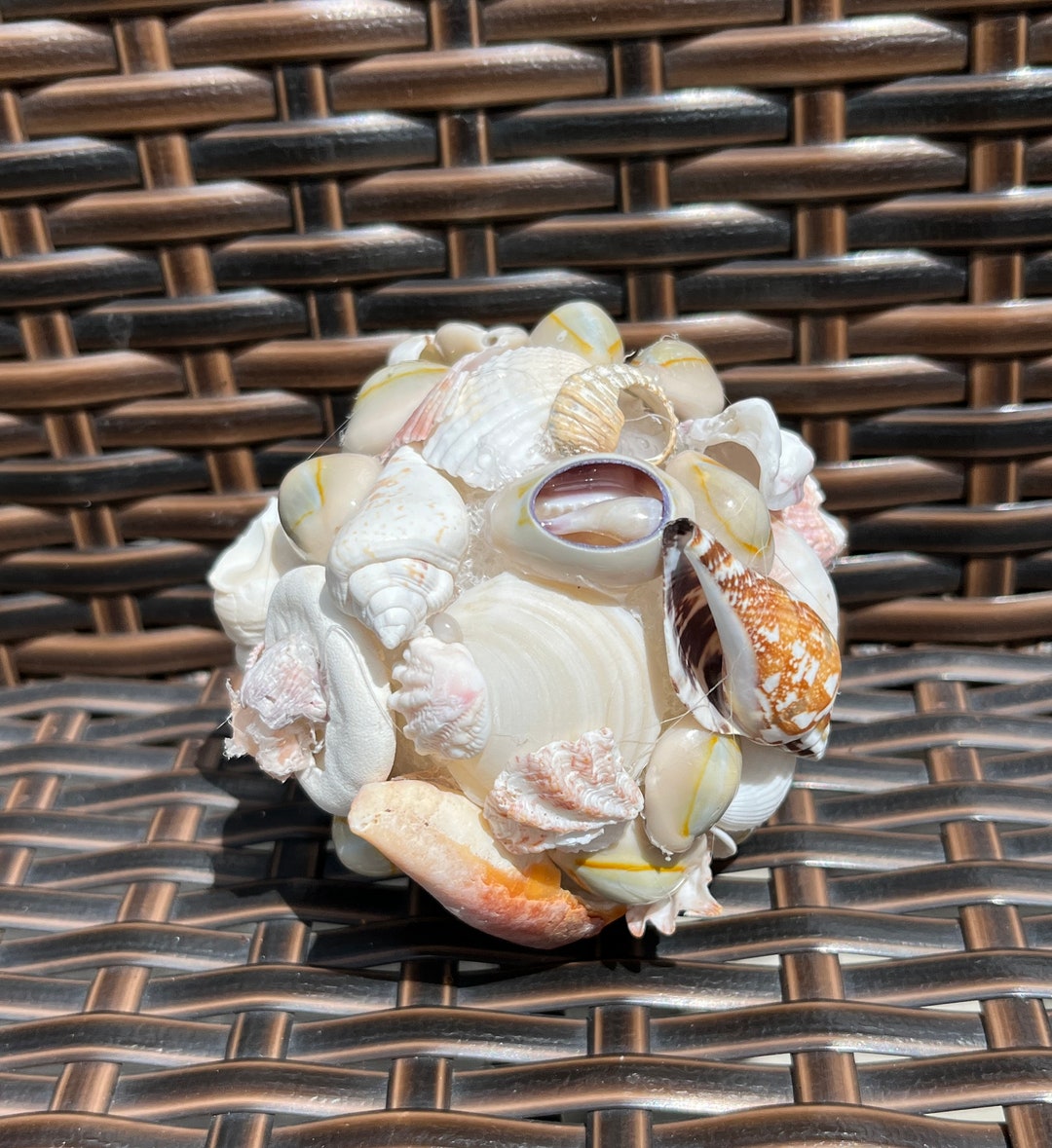 SEA SHELL ORB Bowl Filler Ball or Garden Globe Coastal Decor - Etsy