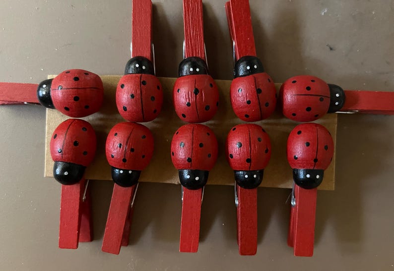 LADYBUG CLOTHESPIN SET Small Set of 10 or 5 - Etsy