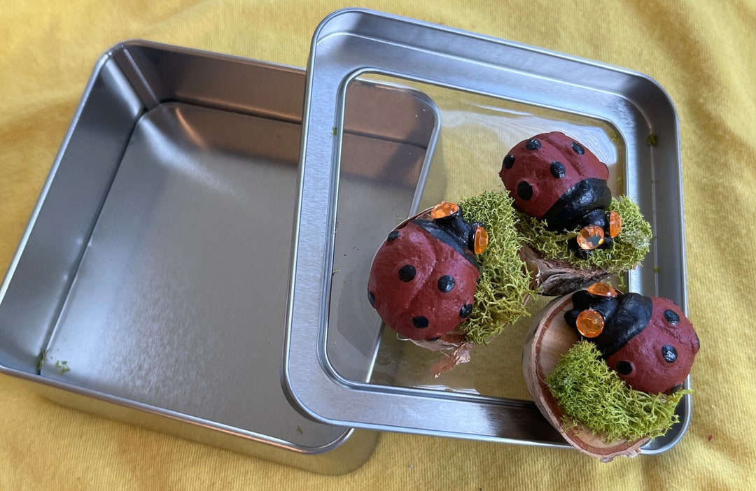 LADY BUG MAGNETS Set of 3 Nature Decor With Case - Etsy