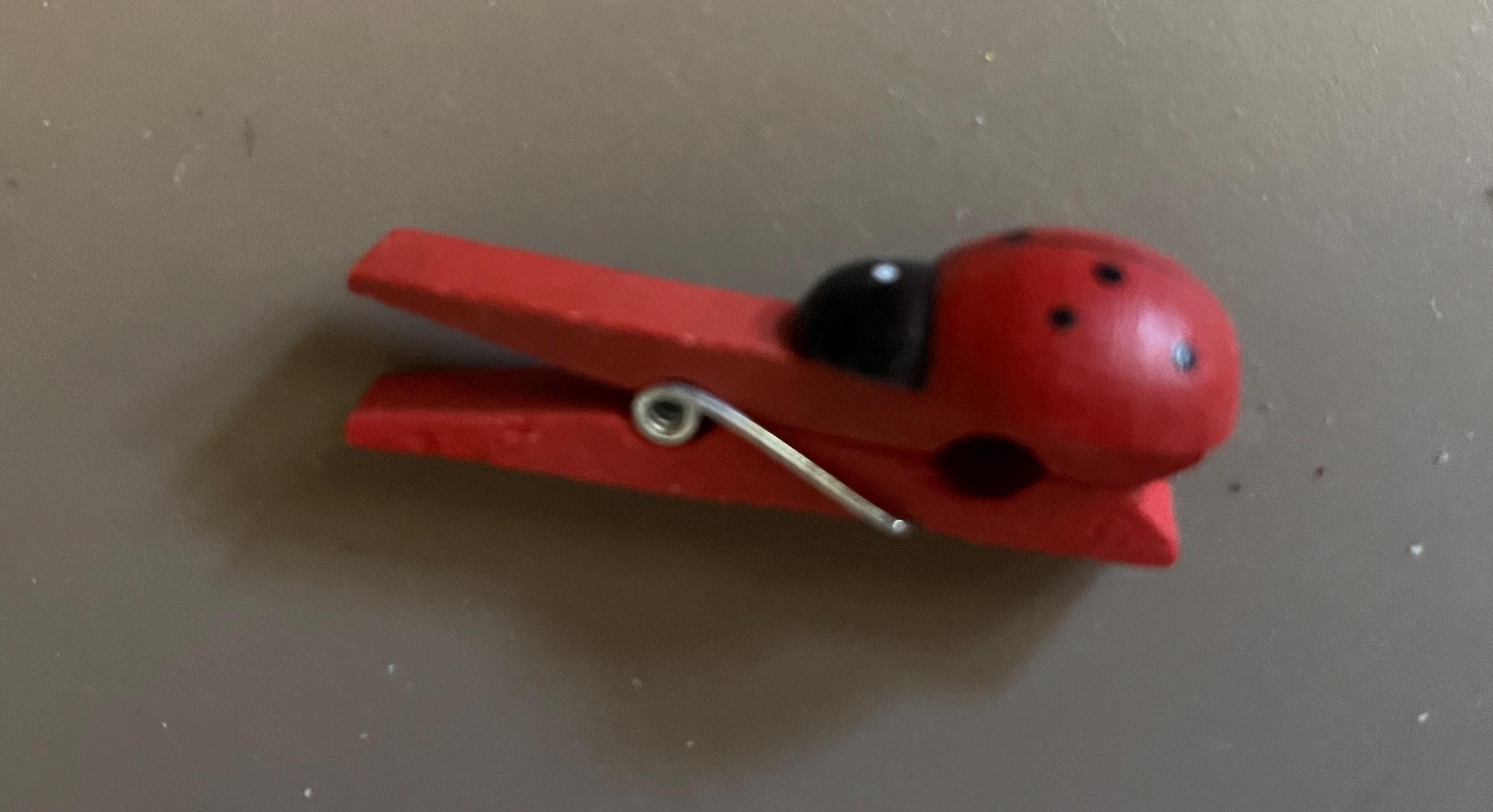 LADYBUG CLOTHESPIN SET Small Set of 10 or 5 - Etsy