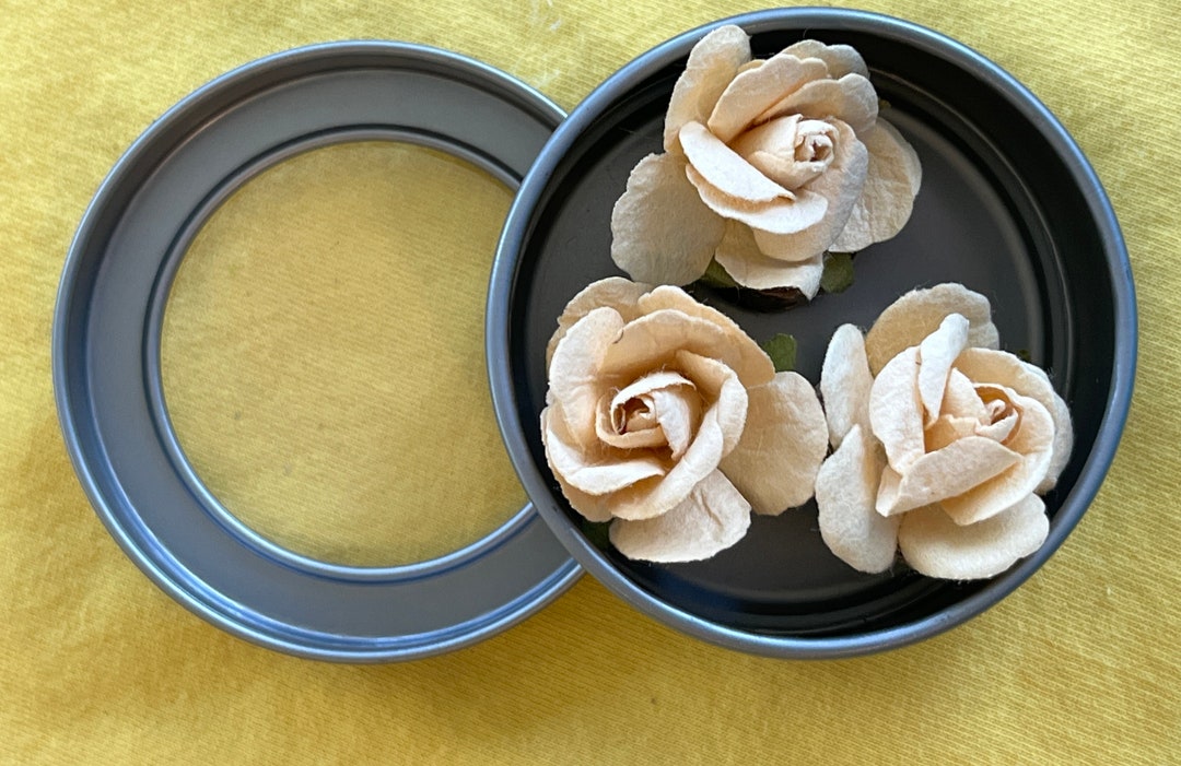 WHITE ROSE MAGNET Set With Case Natural Decor - Etsy