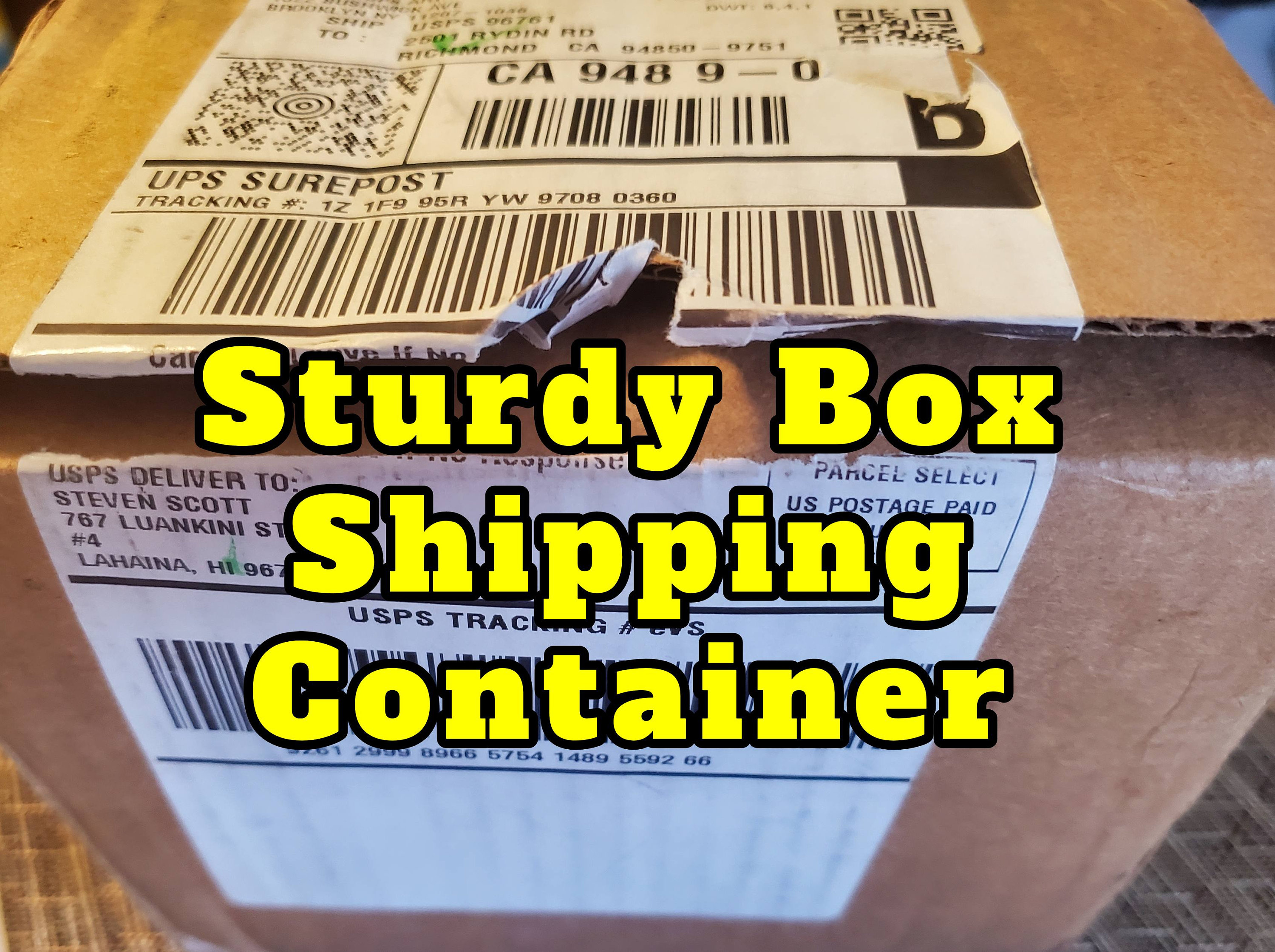 Bora Bora Coffee Mug Unique Bora Bora Souvenir Bora Bora - Etsy