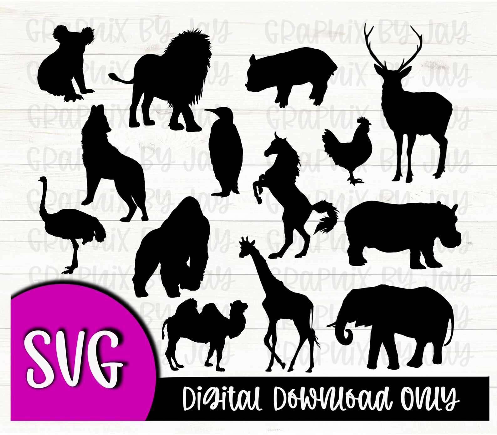 Zoo Animal Silhouette SVG Bundle, Cut Files for Cricut, Zoo Animal PNG ...
