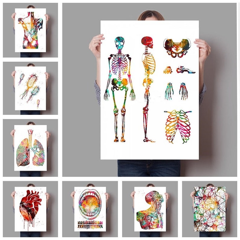 Esqueleto partes del cuerpo carteles de arte impresos carteles - Etsy ...