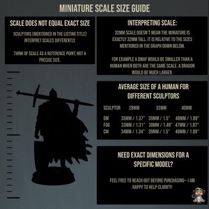 Arnaghad, the Owl Knight Human Paladin Fighter Miniature, Dnd Fantasy ...