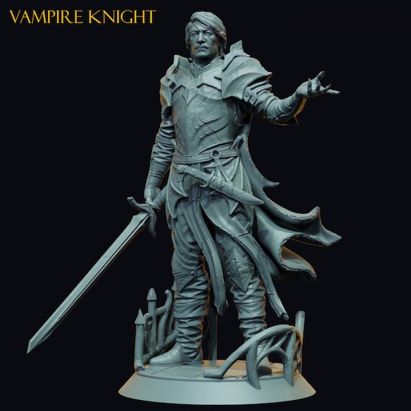 Paladin Knight 3d Print - Etsy