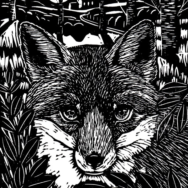 Black and White Fox - Etsy