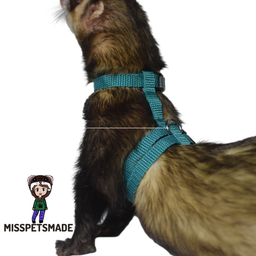 Ferret Fashion: H-style Double Harness in Petrol, Tailored for ...