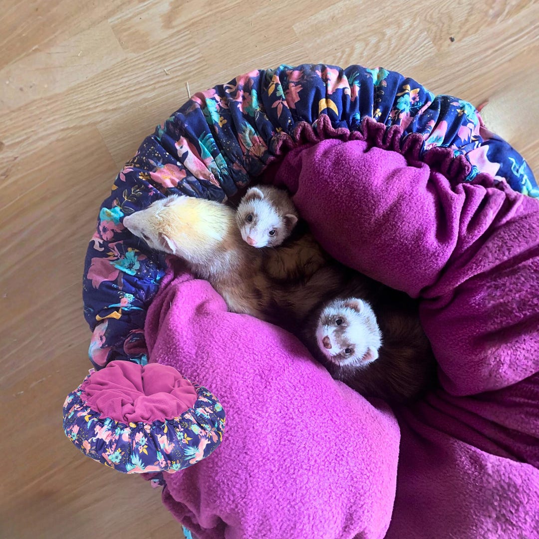 Round Ferret Bed – Handmade With Sewing Machine | Soft Fleece Ferret ...