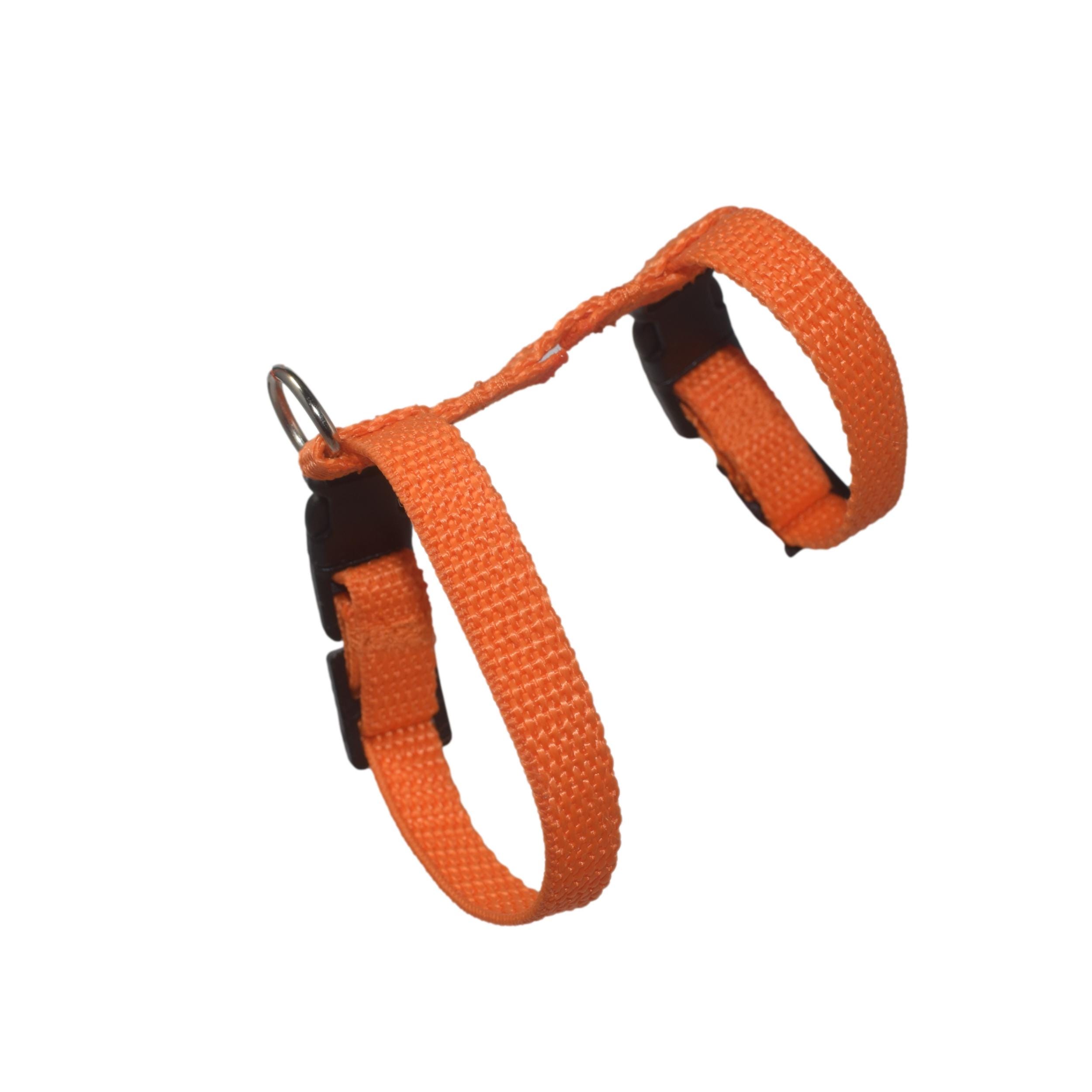 Ferret Harness Orange Webbing – Adjustable Lightweight Harness for ...