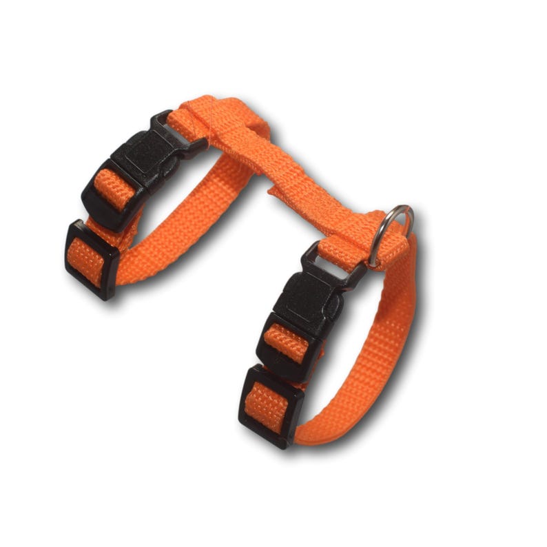 Ferret Harness Orange Webbing – Adjustable Lightweight Harness for ...