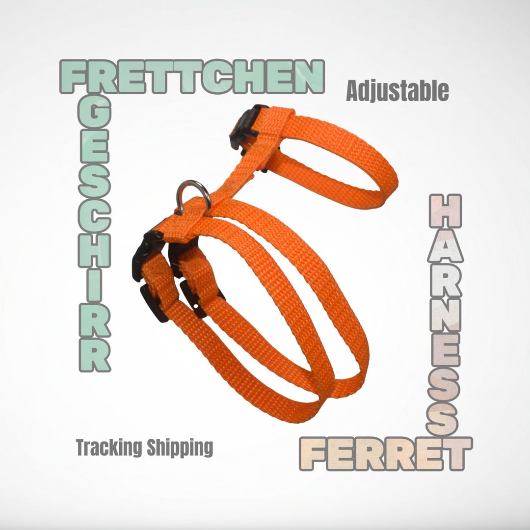 Orange Ferret Harness Small - Accessories - Etsy