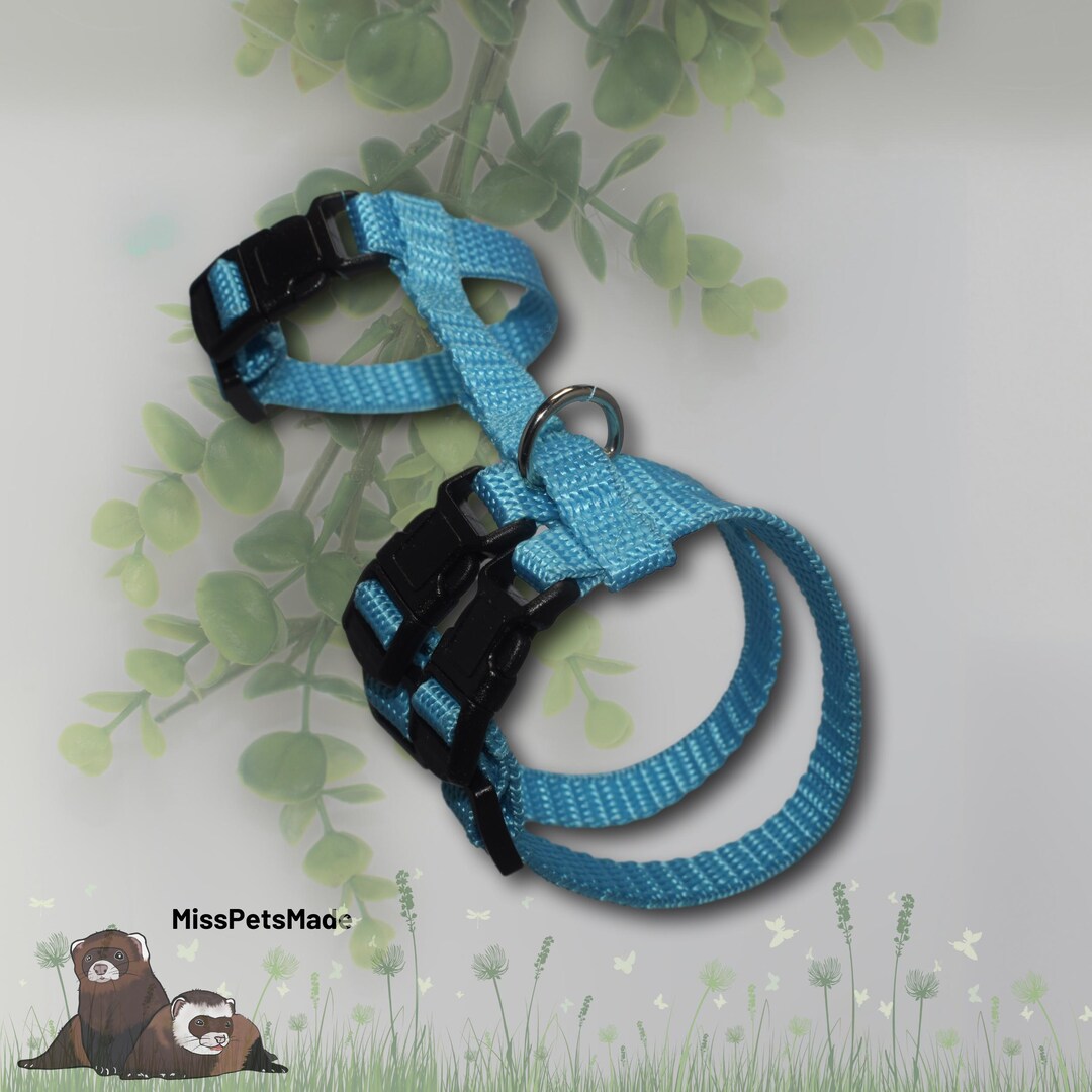 Turquoise Ferret Harness Robust and Customizable Ferret Accessories! - Etsy