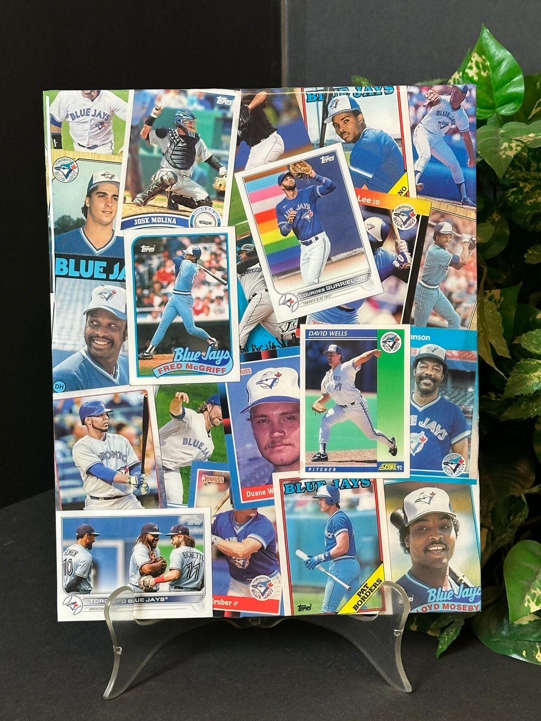 10x12 Toronto Blue Jays Team Collage - Etsy