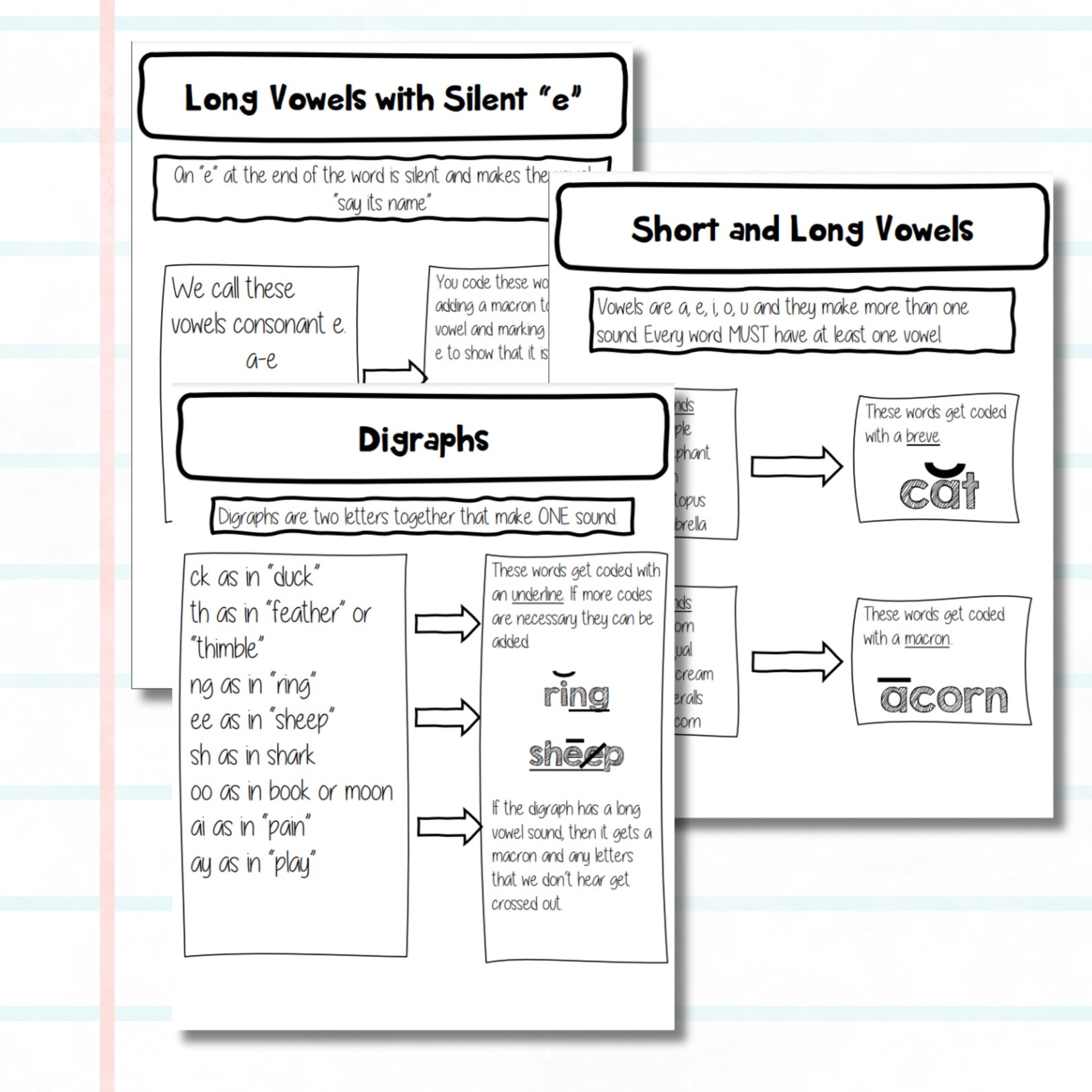 1st Grade Saxon Phonics Parent Guide for Coding and Rules | Phonics ...
