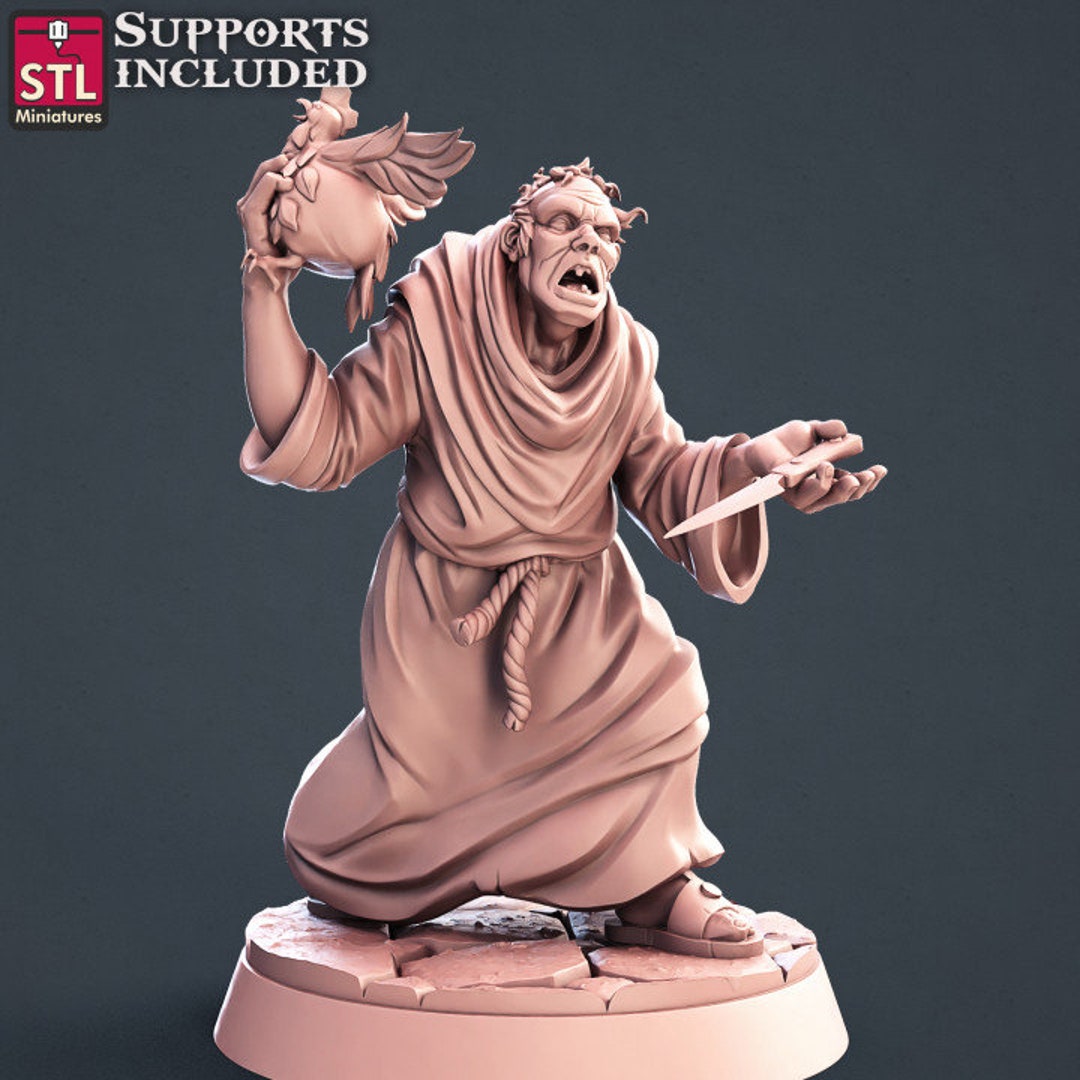 Figurine Priest 4 STL Miniatures 3D Printing - Etsy