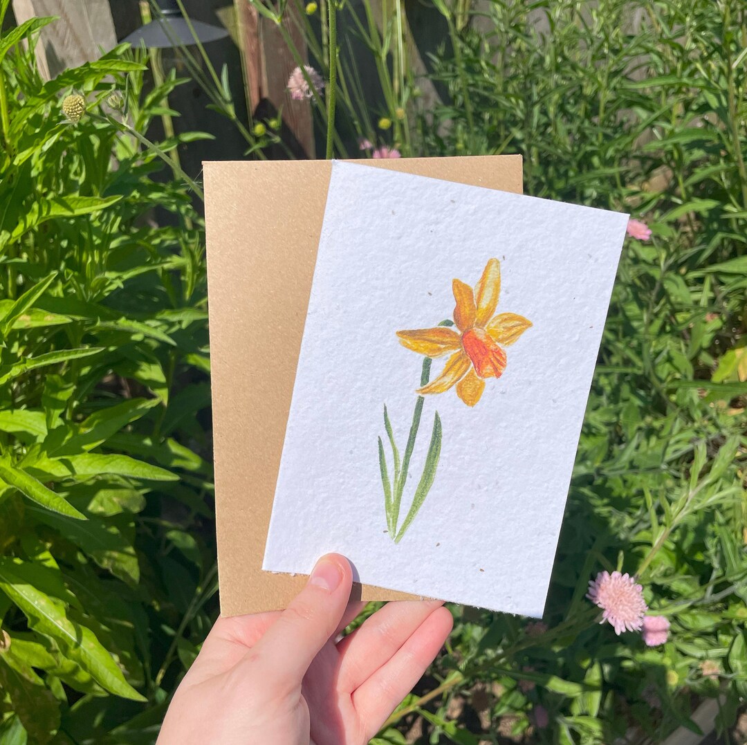 Watercolour Daffodil Card March Birthday Card Birth Month Card ...