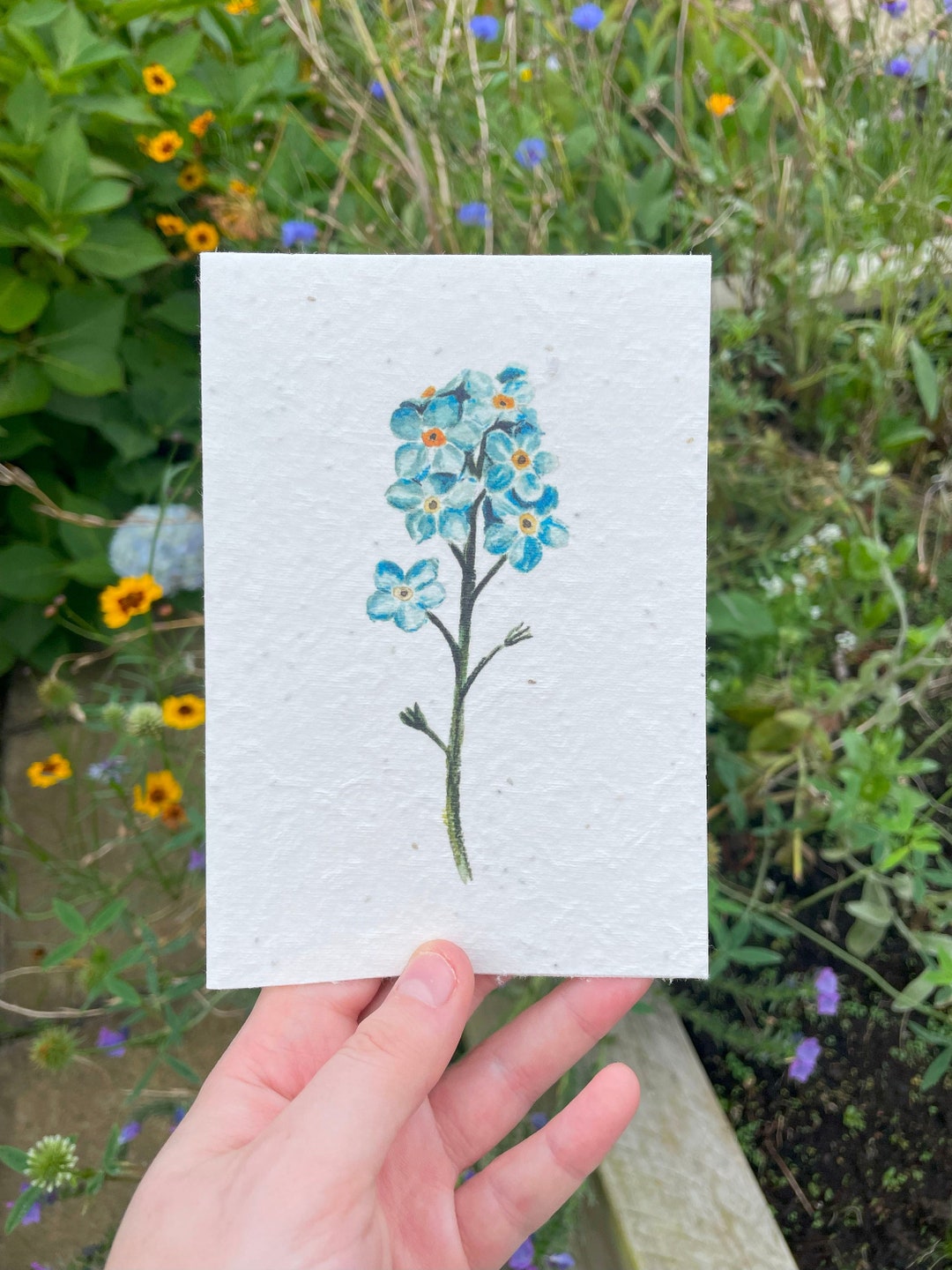 Watercolour Forget Me Not Card - Wildflower Birthday Card - Floralprint ...