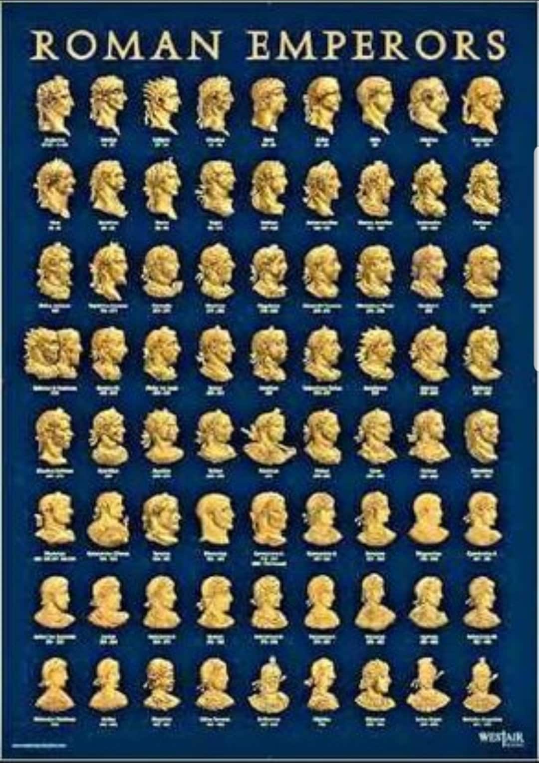 NEW Roman Emperors A3 Poster Chart Coin Busts - Etsy