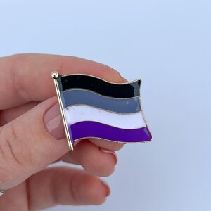 Asexual Flag Enamel Pin | LGBTQ | Queer - Etsy