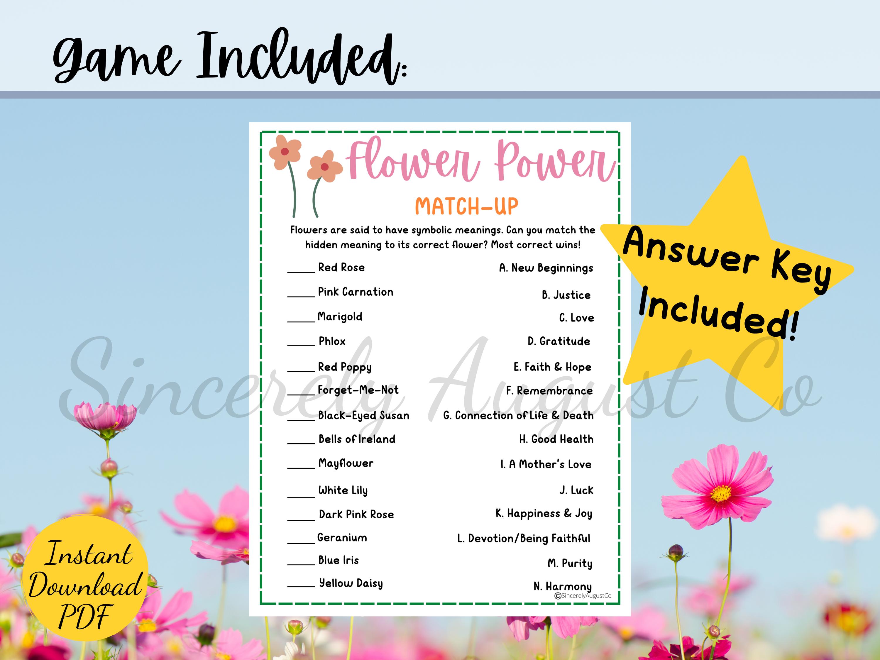 Spring FLOWER POWER Matching Game: Spring and Mother's Day Activity ...