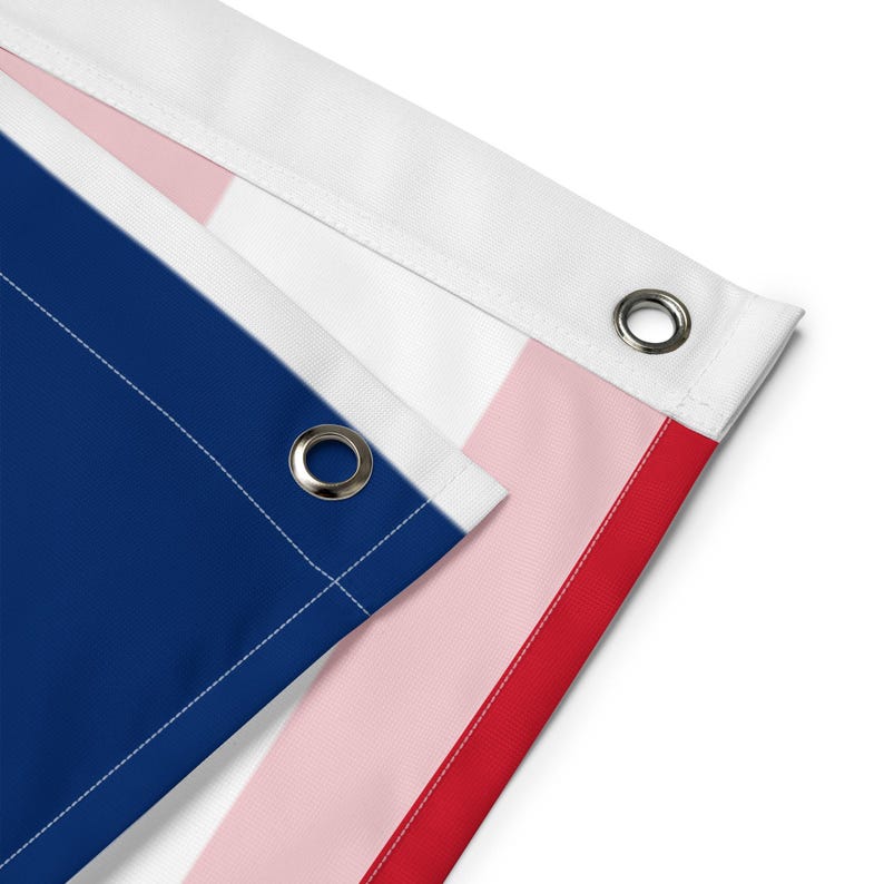 Enclave Flag: Faction Banner, Polyester Wall Decor - Etsy