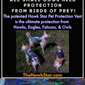 The Hawk Star Pet Protection Vest - Etsy