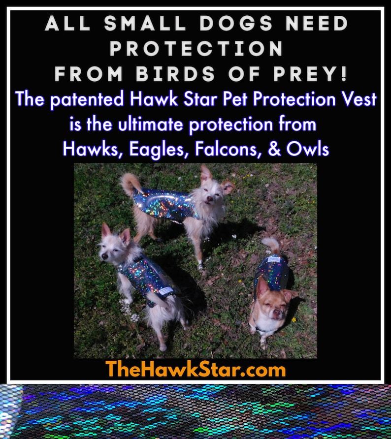 The Hawk Star Pet Protection Vest - Etsy