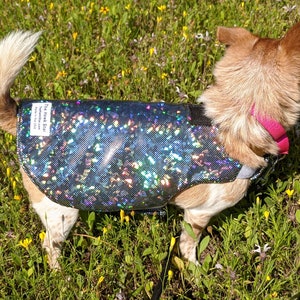 The Hawk Star Pet Protection Vest - Etsy