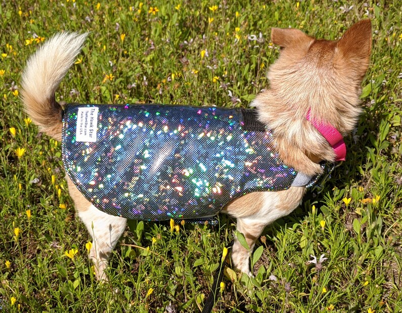 The Hawk Star Pet Protection Vest - Etsy