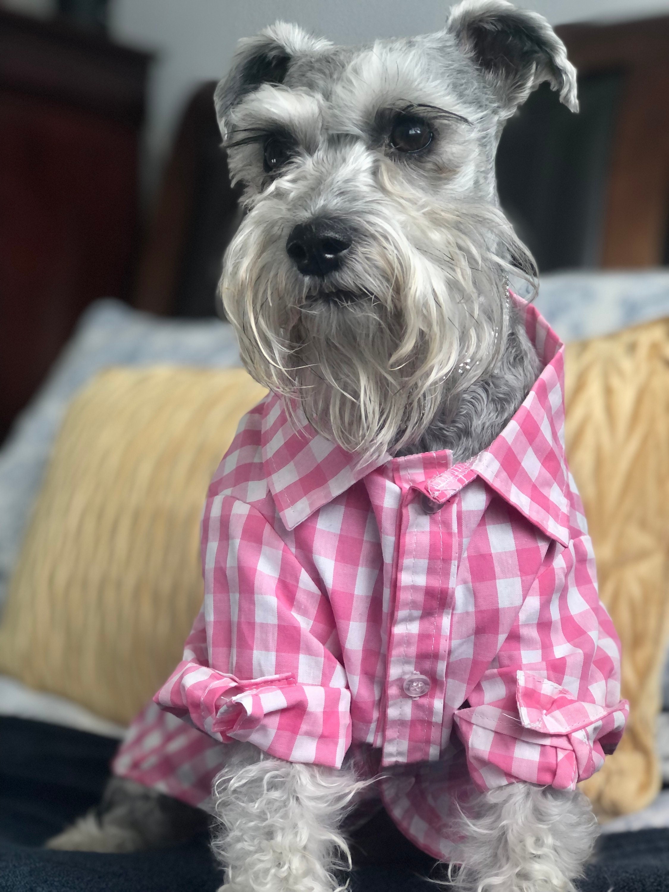 Plaid Dog Shirt, Fall Dog Shirt, Dressy Dog Shirt, Dog Clothes, Luxury ...