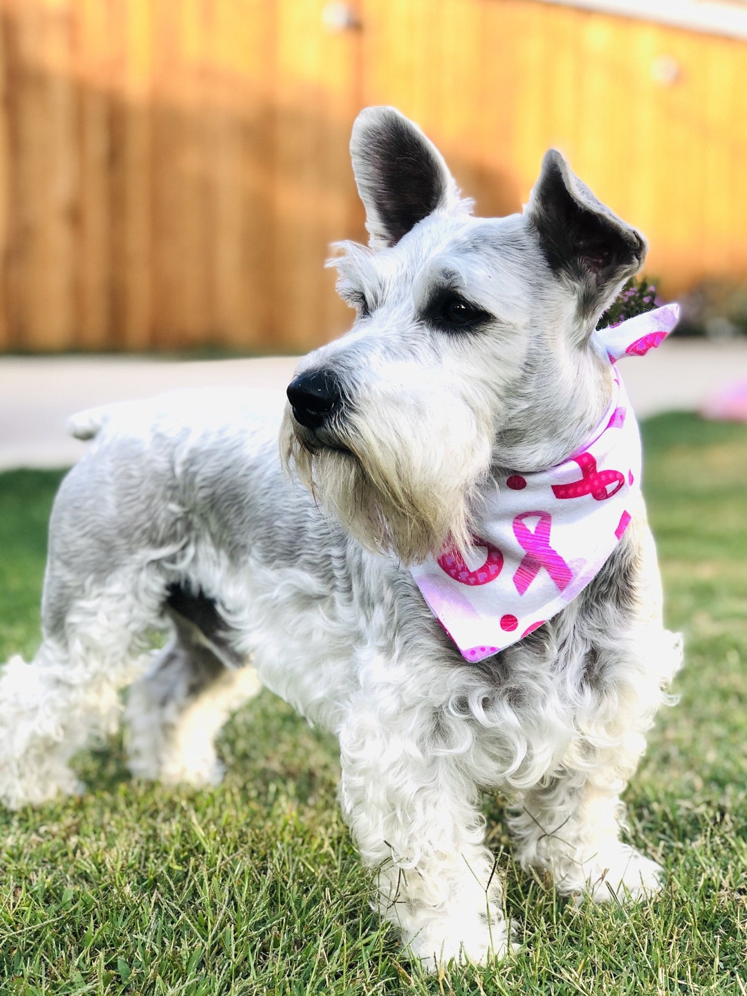 Breast Cancer Awareness Bandana | Dog Bandana | Pink Ribbon Bandana ...
